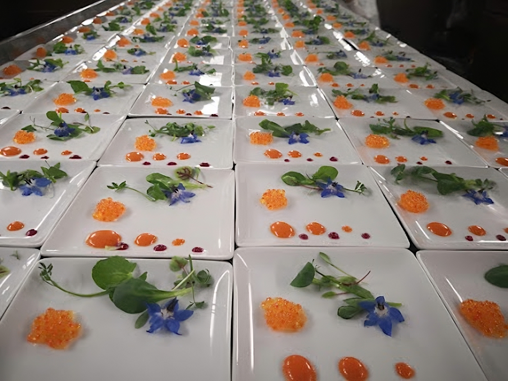 Restaurant proche de la place Stanislas Nancy › TT TIRAMISU